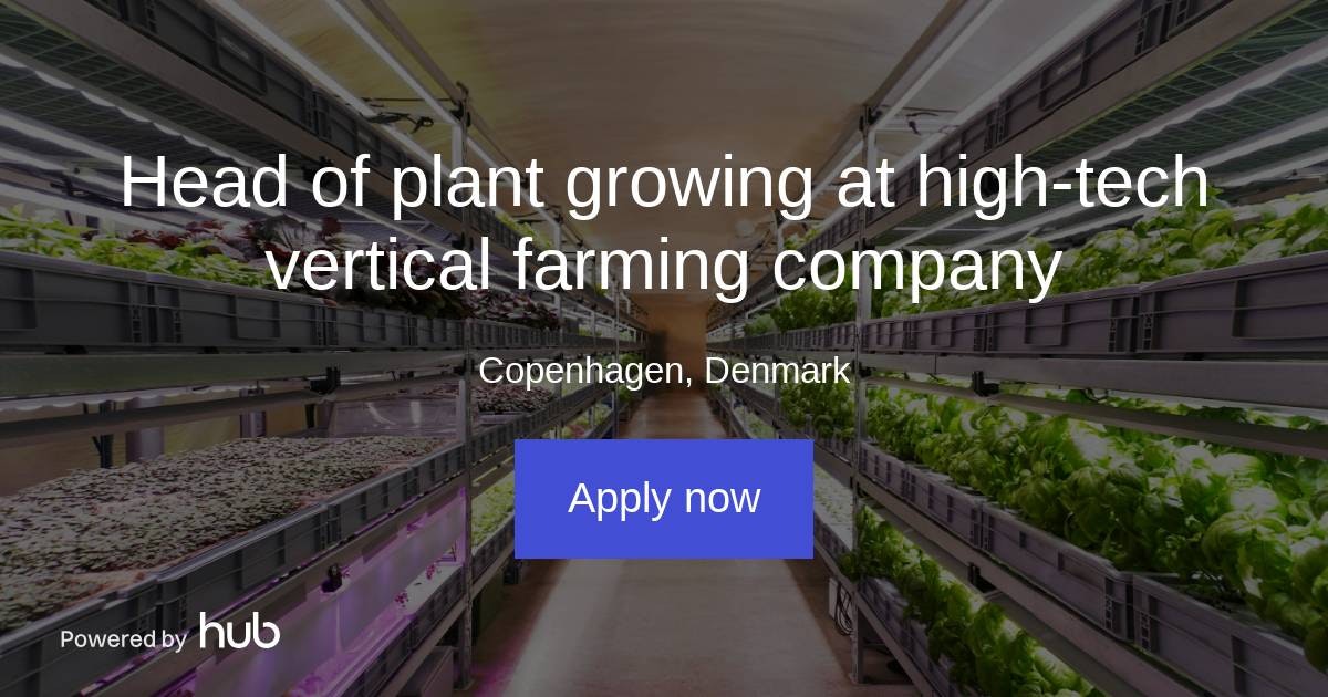 The Hub | Head of plant growing at high-tech vertical farming company ...