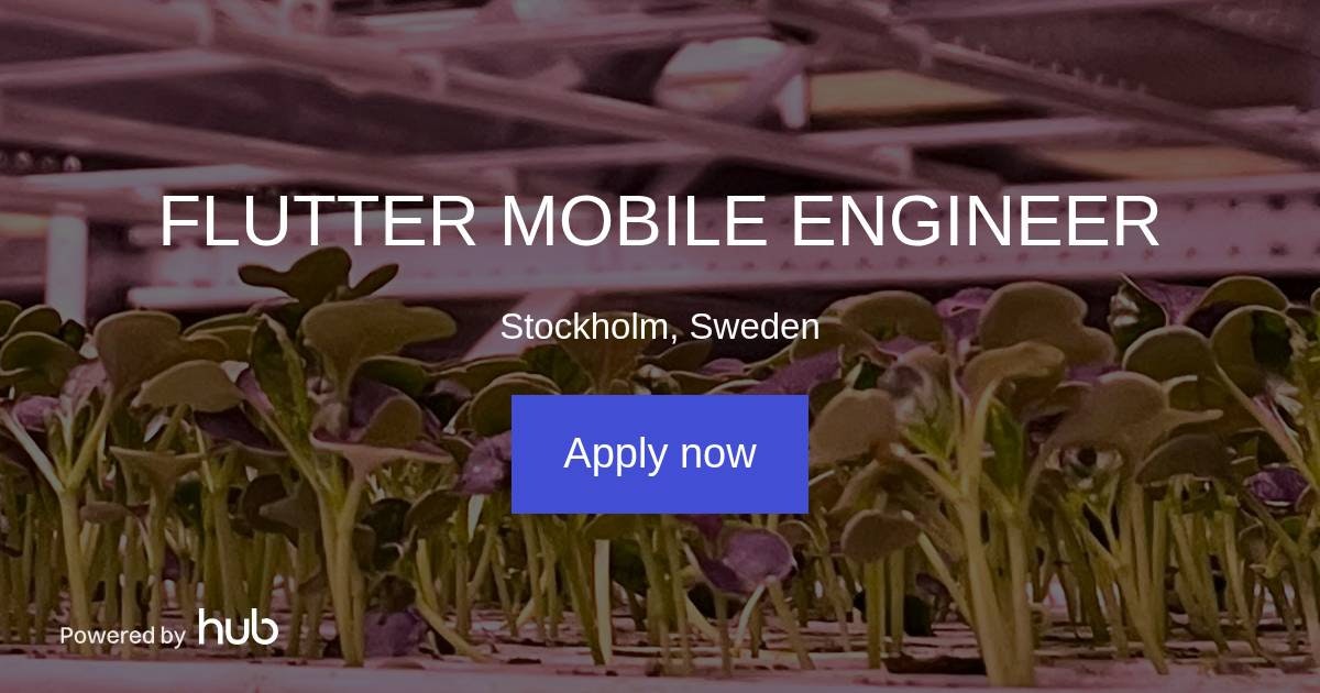 The Hub | FLUTTER MOBILE ENGINEER | Urban Oasis