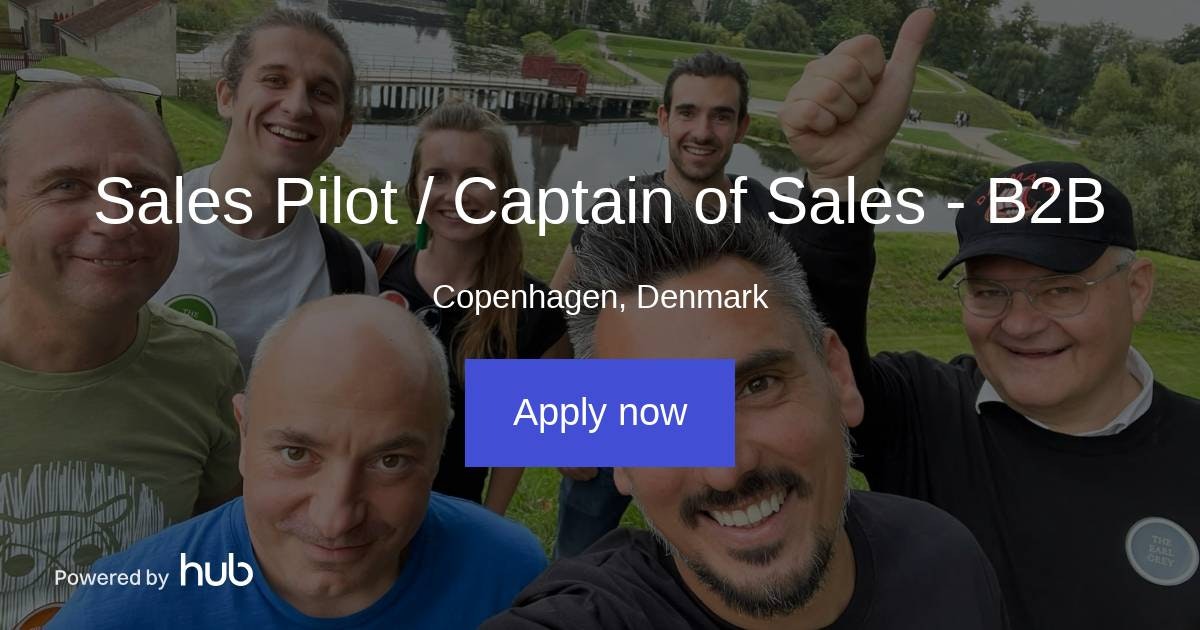 The Hub | Sales Pilot / Captain of Sales - B2B | IFS- International ...