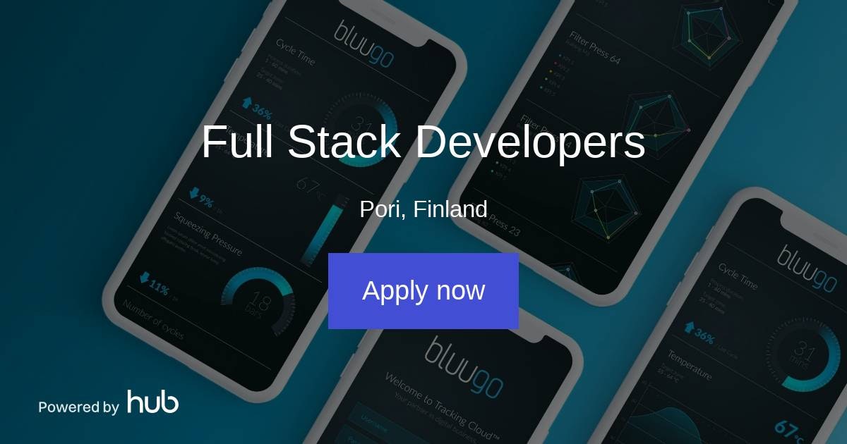 The Hub Full Stack Developers Bluugo