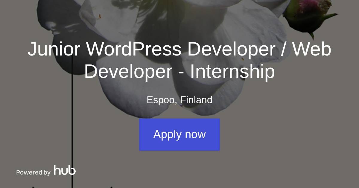 The Hub | Junior WordPress Developer / Web Developer - Internship | Bee Rescue