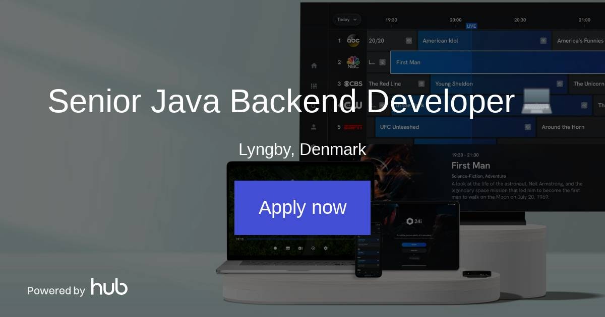 The Hub | Senior Java Backend Developer 💻 | 24i