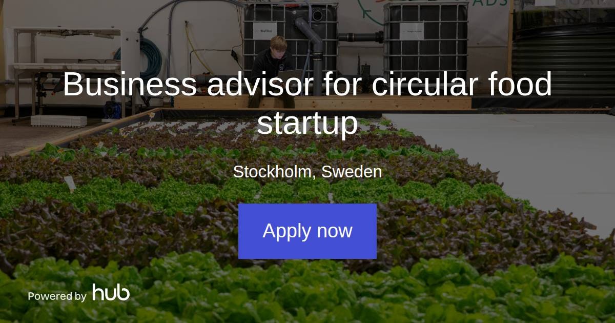 The Hub | Business advisor for circular food startup | Johannas
