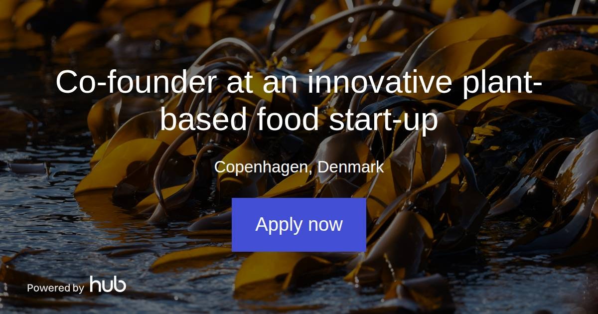 The Hub | Co-founder at an innovative plant-based food start-up ...