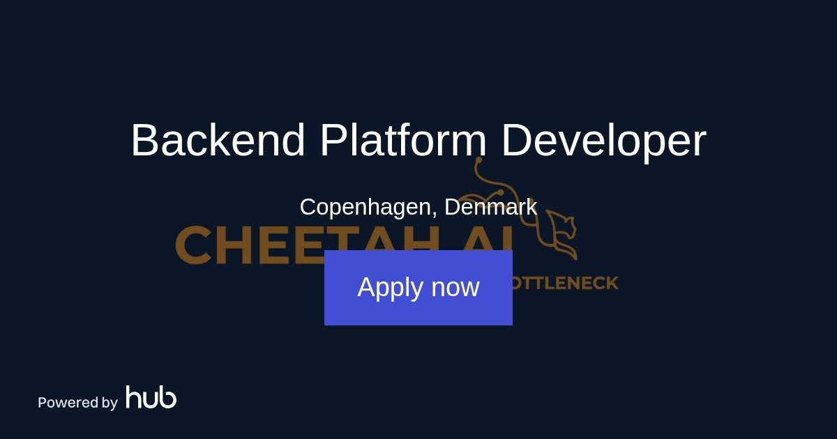 The Hub | Backend Platform Developer | Cheetah AI