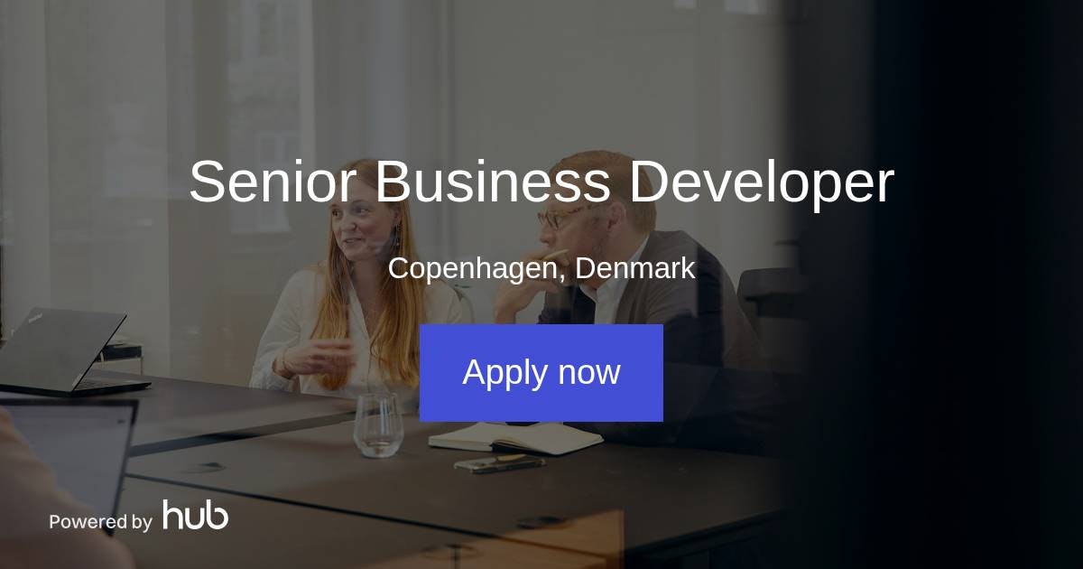 The Hub | Senior Business Developer | Aegir Insights