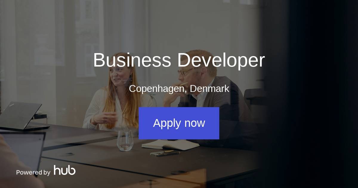 The Hub | Business Developer | Aegir Insights