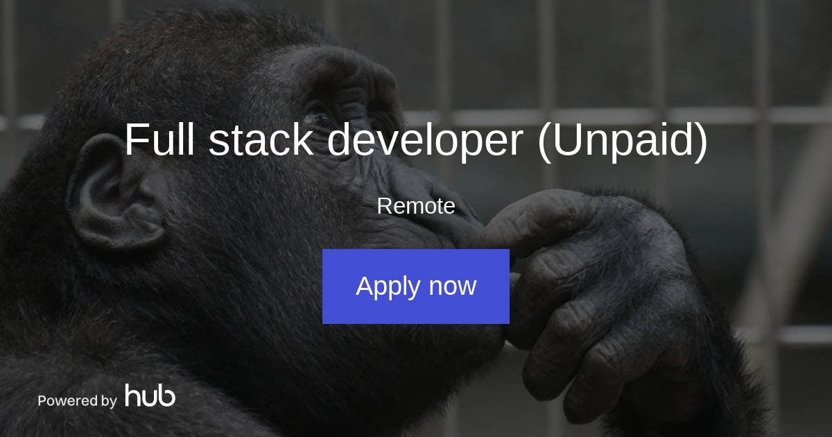 The Hub | Full stack developer (Unpaid) | Chimp