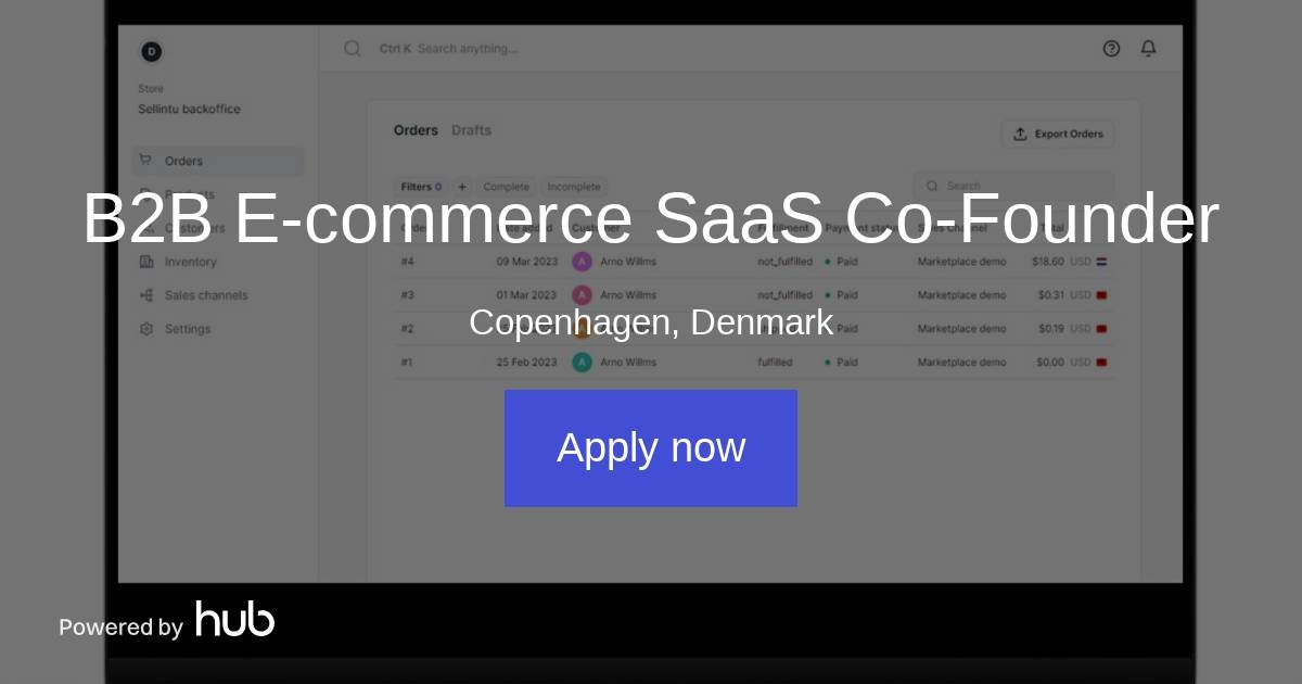 The Hub | B2B E-commerce SaaS Co-Founder | Sellintu ApS