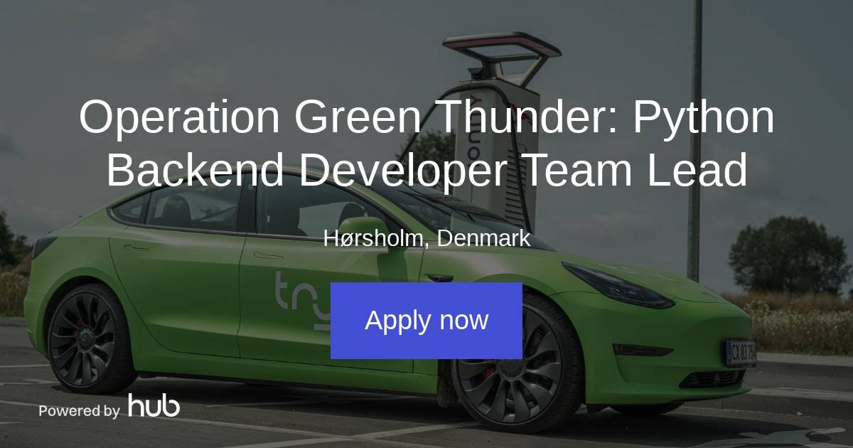 The Hub | Operation Green Thunder: Python Backend Developer Team Lead | True Energy A/S