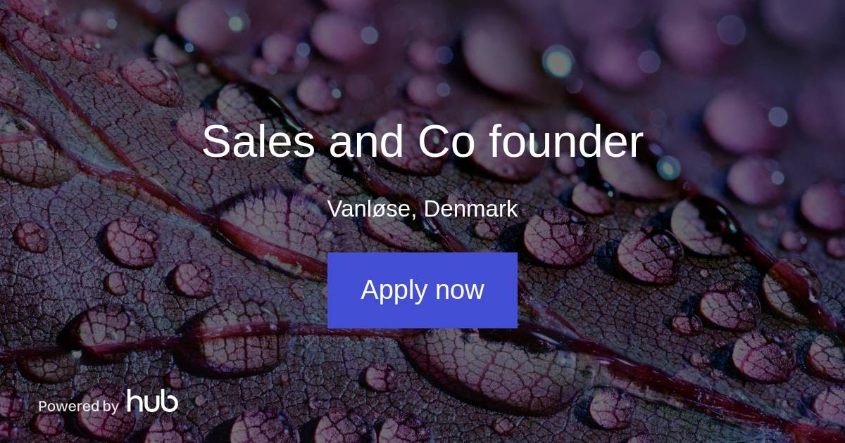 The Hub | Sales and Co founder | FlexMeter ApS