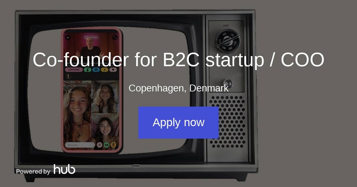 The Hub | Co-founder for B2C startup / COO | Bopin